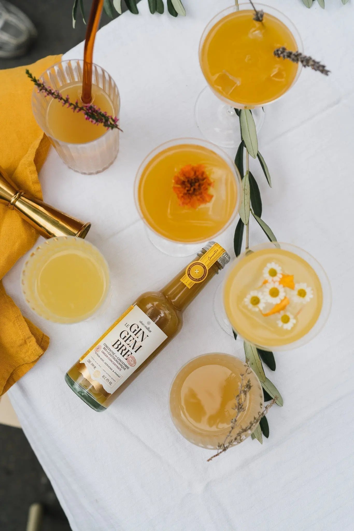 What is Ginger? Origin, taste and culinary uses – Alain Milliat